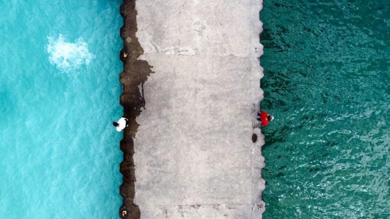 Download Miller & Levine Biology PDF | Free Biology Textbook